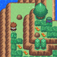 Route 14 (Location) - Pokémon Unbound Wiki