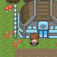 Polder Town Gym (Tessy) - Pokémon Unbound Wiki