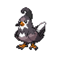 Staravia - Pokémon Unbound Wiki