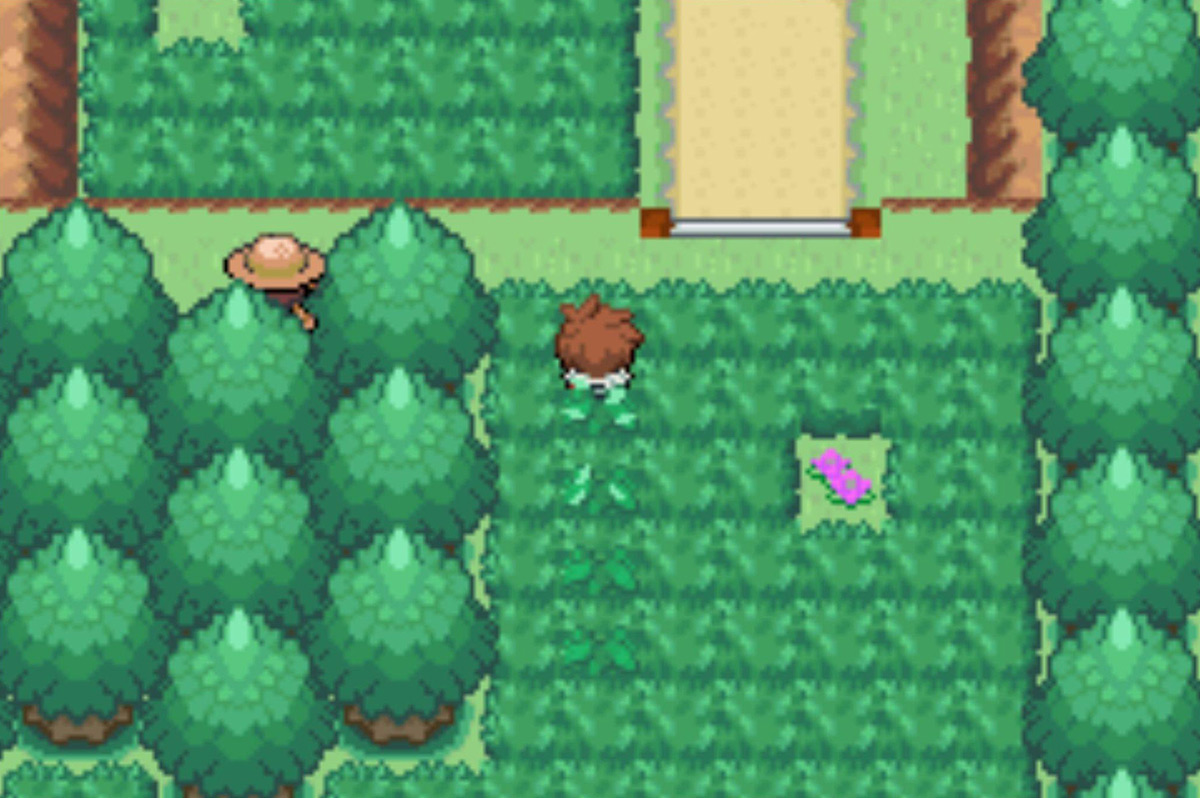 All Trainer Locations (List) - Pokémon Unbound Wiki